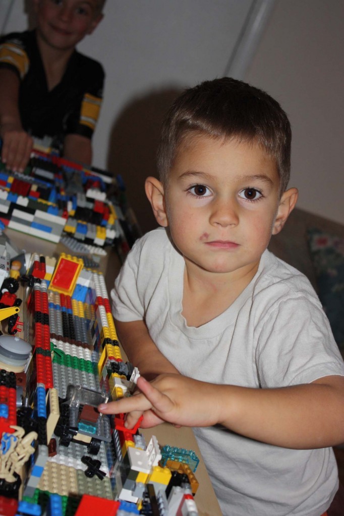 Do you HATE Legos! – Mary Ann Johnson
