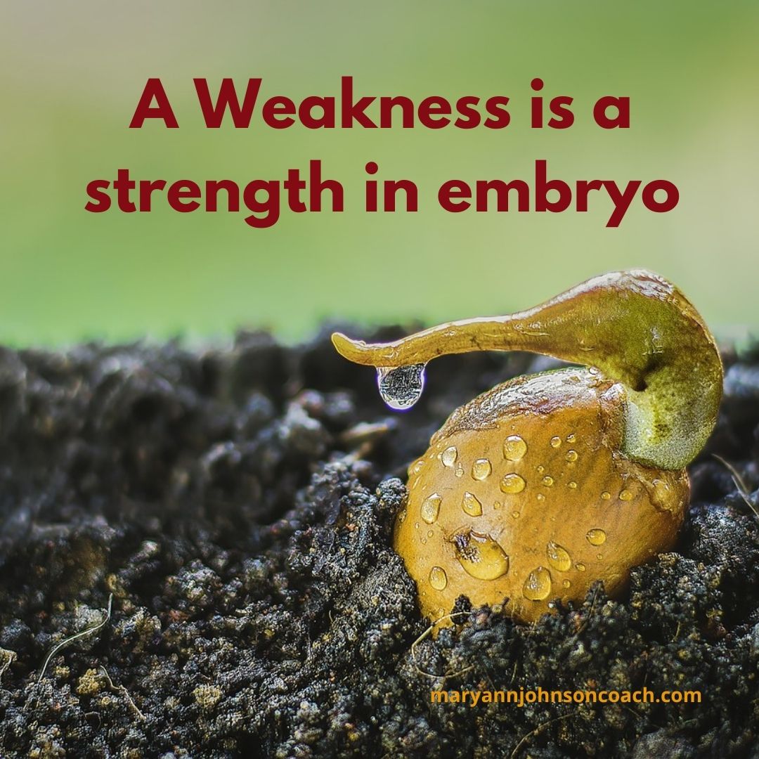 What Do You Do When You Discover a Weakness? Beat Yourself Up? Fall ...