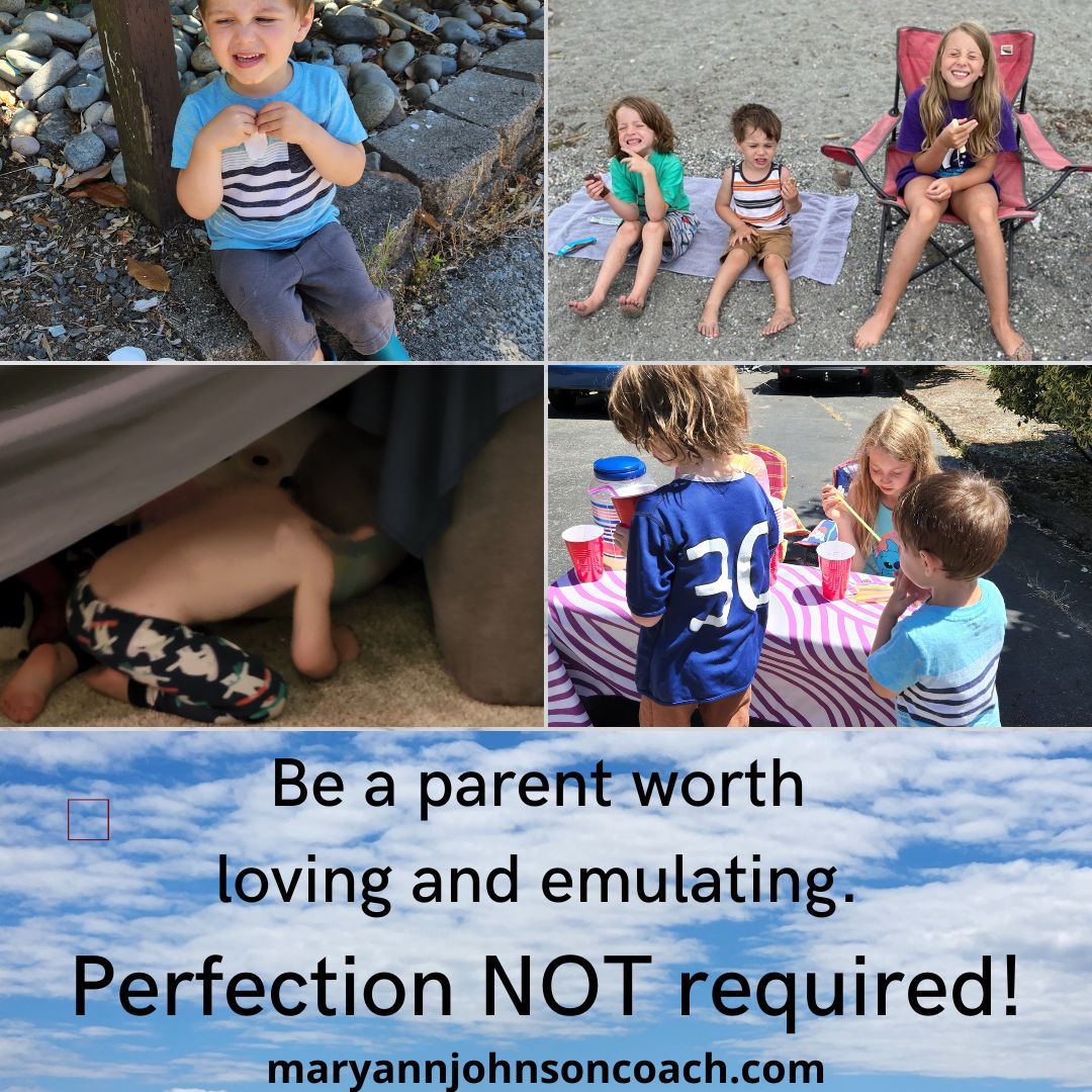 The Parenting Microscope – Mary Ann Johnson