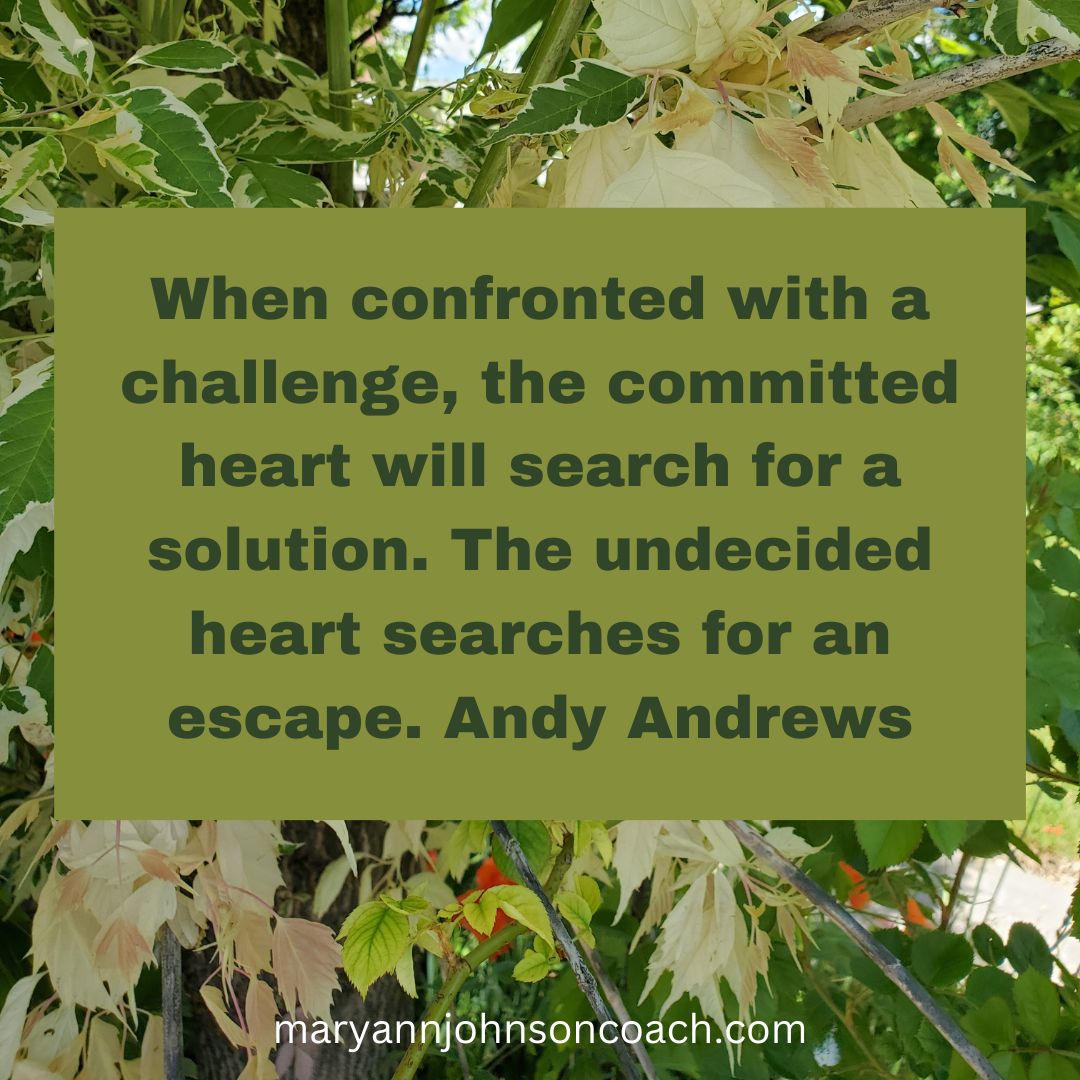 Why I Decided to Commit to Meditation When I Said I Couldn’t – Mary Ann ...